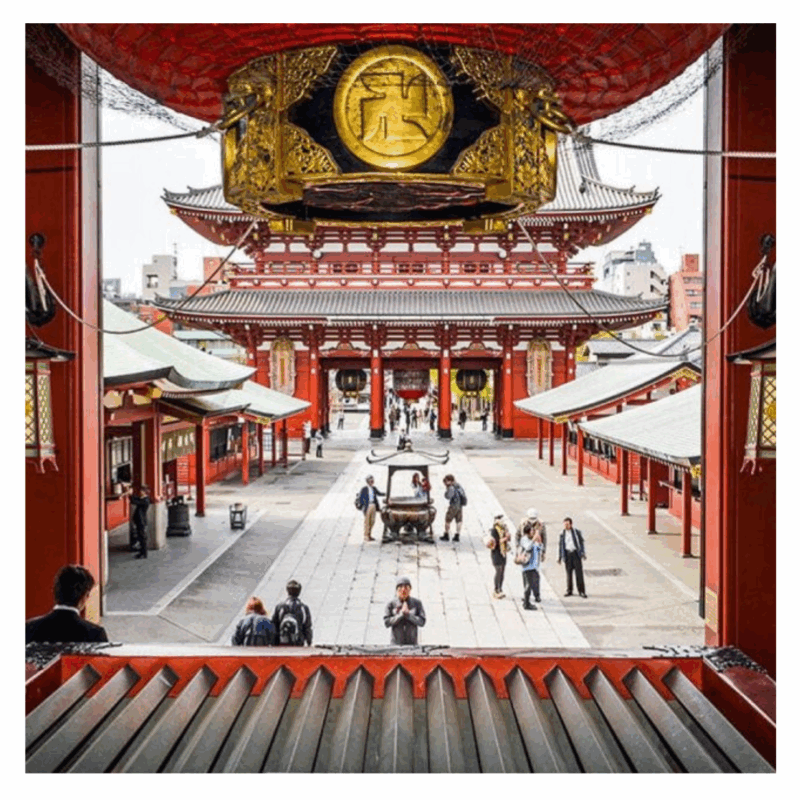 Full Day Tokyo Customize Unforgettable Private Tour 23 Ward - Included and Excluded Services