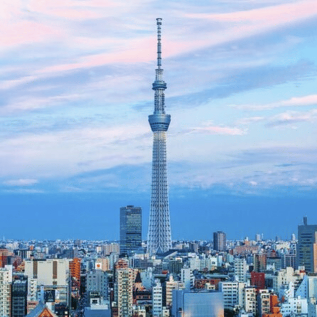 Full Day Tokyo Customize Unforgettable Private Tour 23 Ward - Why Choose This Tour?