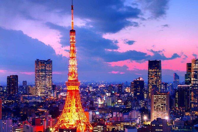 Full Day Tokyo Private City Tour - Key Points