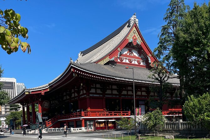 Full Day Tokyo Private City Tour - Highlights of the Tour