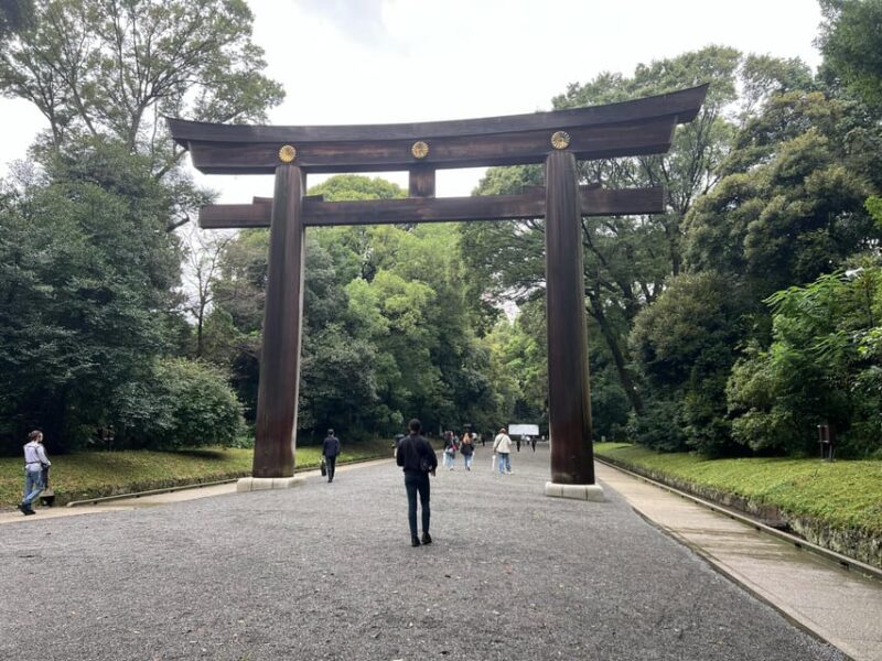 Full Day Tokyo Tour With Private Car - Additional Amenities and Inclusions