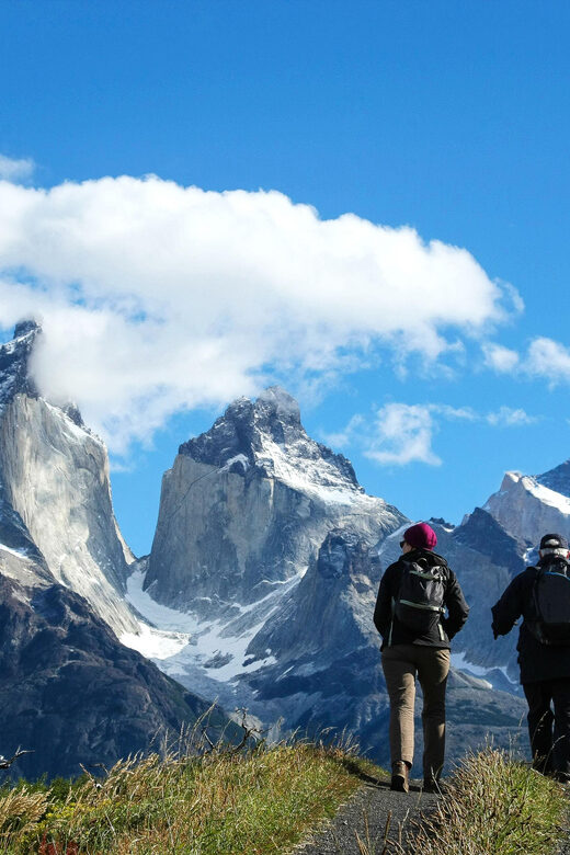 Full-Day Torres del Paine National Park from El Calafate - Key Points
