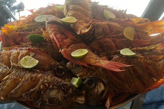 Full Day Tour, #1 Jet Ski in miches las canitas From Punta Cana - The Experience: From Land to Sea and Back