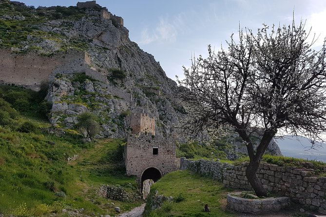 Full day tour Ancient Corinth with wine or olive oil tasting - FAQ