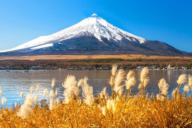 Full Day Tour at Mt. Fuji, Onsen, Lake Kawaguchi and Yamanaka - Key Points