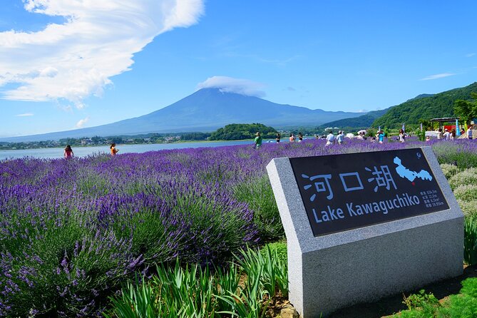 Full Day Tour at Mt. Fuji, Onsen, Lake Kawaguchi and Yamanaka - Important Notes