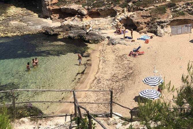 Full Day Tour by Car and Walking Among the Apulian Beauties - Discovering Monopoli