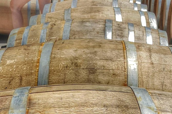 Full-Day Tour Cafayate Calchaqui Valleys With Wine - Tasting the Renowned Cafayate Wines