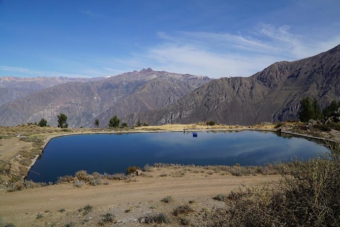 Full Day Tour / Colca Canyon - Wildlife and Natural Wonders