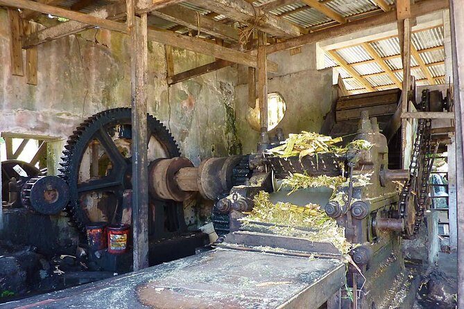 Full-Day Tour: Concord Waterfall, Chocolate Factory, Rum Distillery, Grand Etang - FAQs