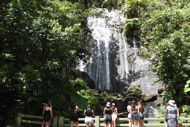 Full-Day Tour: El Yunque, Luquillo Beach, Bio Bay Night Kayaking - Introduction