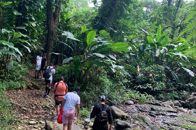 Full-Day Tour: El Yunque, Luquillo Beach, Bio Bay Night Kayaking - Authentic Experiences and Guest Insights