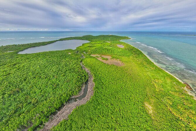 Full-Day Tour: El Yunque, Luquillo Beach, Bio Bay Night Kayaking - The Sum Up