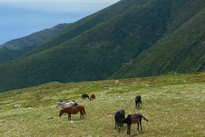 Full Day Tour from Albanian Riviera/Borsh to Dhermi and Llogara - Who Will Love This Tour?