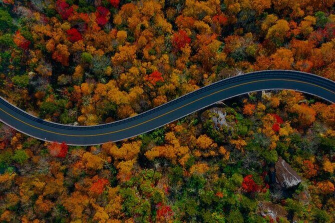 Full Day Tour from Atlanta to Amicalola Falls and Blue Ridge - An Honest Breakdown of the Itinerary