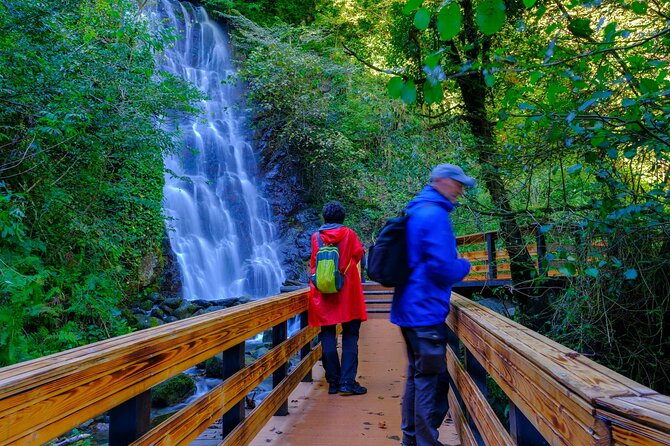 Full Day Tour From Batumi to Waterfalls - What’s Included and What’s Not