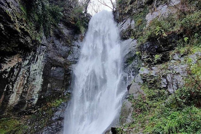 Full Day Tour From Batumi to Waterfalls - Transportation and Timing