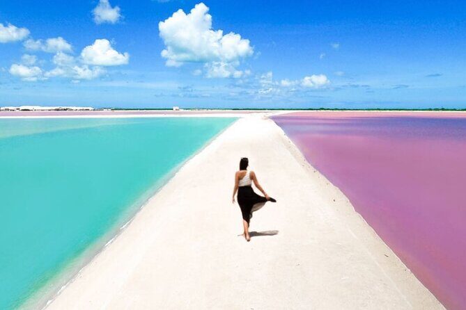 Full Day Tour from Cancun Rio Lagartos and Las Coloradas - Who Will Enjoy This Tour?