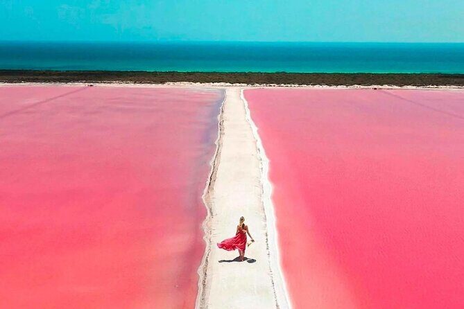 Full Day Tour from Cancun Rio Lagartos and Las Coloradas - FAQs