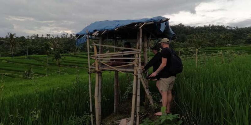 Full day tour from Mataram or Senggi to senaru waterfalls - Final Thoughts