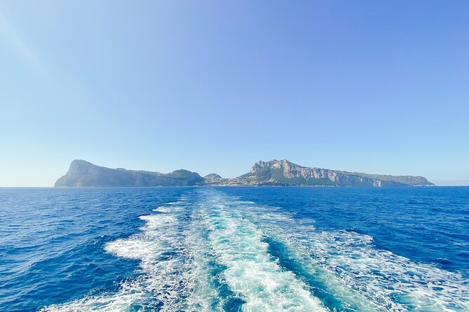 Full Day Tour from Sorrento to Capri and Anacapri - Final Thoughts: Who Should Consider This Tour?