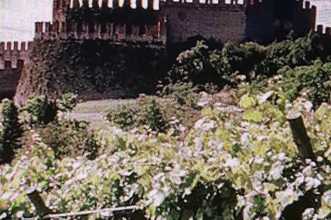 Full-Day Tour - I love Amarone Valpolicella & Verona - Exploring Veronas UNESCO Heritage and Its Romantic Charm