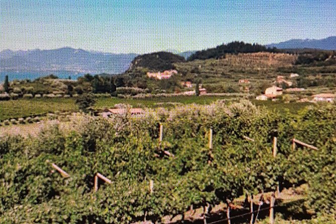 Full-Day Tour - I love Amarone Valpolicella & Verona - Transportation, Timing, and the Overall Experience