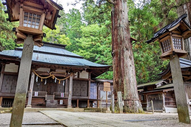 Full-Day Tour: Immerse in Takayamas History and Temples - Inclusions