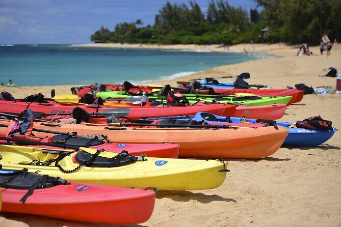 Full-Day Tour in Key West from Miami with Add-on extras - Practical Details and Tips