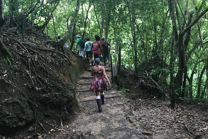 Full Day Tour in Samana and visit to Cascada el Limón - The Sum Up: Who Will Love This Tour?