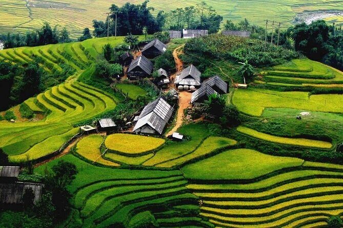Full Day Tour in Sapa Trekking with Local guide - A Detailed Look at the Sapa Trekking Tour