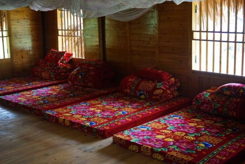 Full Day Tour in Sapa Trekking with Local guide - Key Points