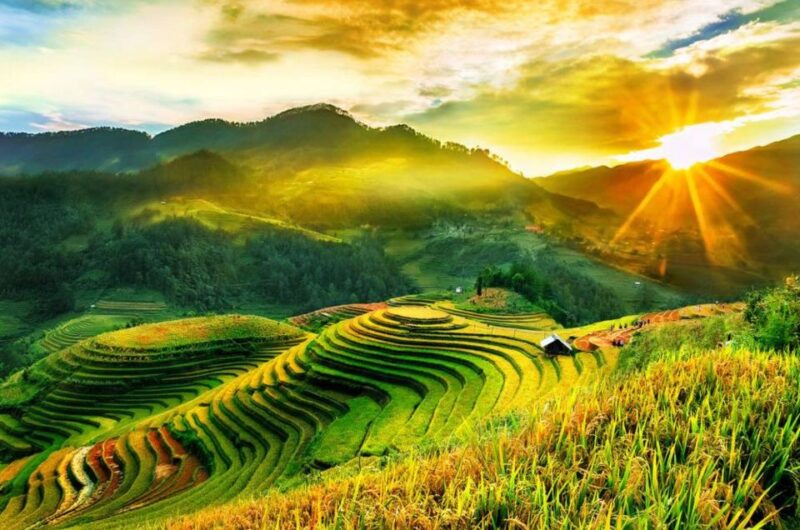 Full Day Tour in Sapa Trekking with Local guide - Who Should Consider This Tour?