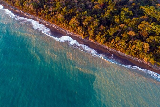Full-Day Tour in Sirena and San Pedrillo With Lunch - Inclusions