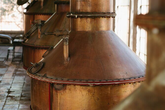 Full-Day Tour in Tequila factory and Cantaritos el Gúero - The Itinerary: What You Can Expect