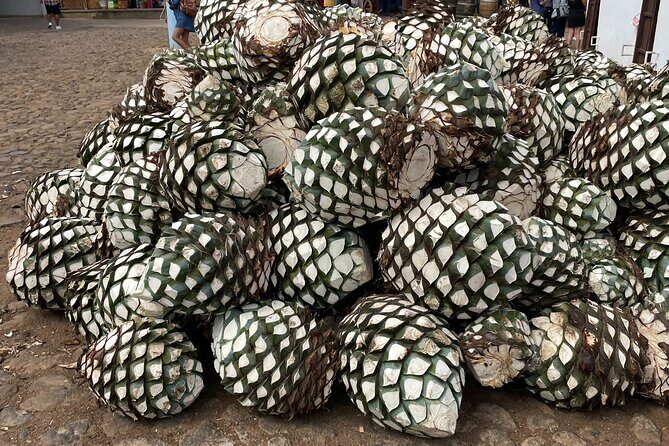 Full-Day Tour in Tequila factory and Cantaritos el Gúero - FAQ