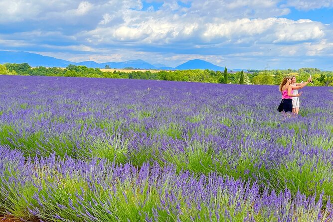 Full Day Tour in the Lavenders of Valensole or Sault - Detailed Breakdown of the Itinerary