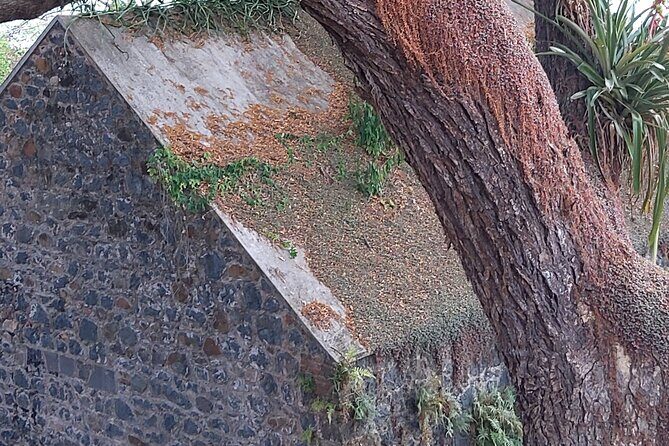 Full Day Tour in Tobago Island with Lunch - Final Thoughts: Is This the Right Tour for You?