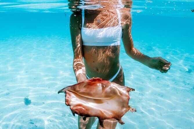 Full Day Tour : Moorea Snorkeling & Sunset Cruise on a Catamaran named Taboo - Frequently Asked Questions