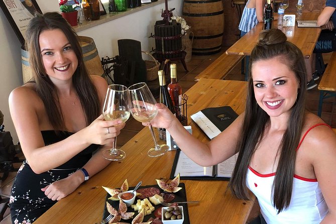 Full-Day Tour of Algarve Wineries From Albufeira - Unique Aspects and Recommendations