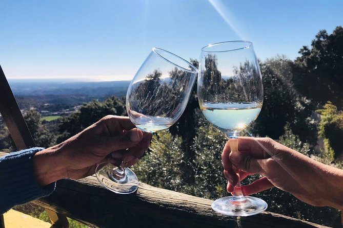 Full-Day Tour of Algarve Wineries From Albufeira - Taking in Local Culture and History