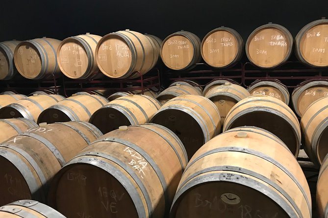 Full-Day Tour of Algarve Wineries From Albufeira - Savoring the Wine Tasting Experience