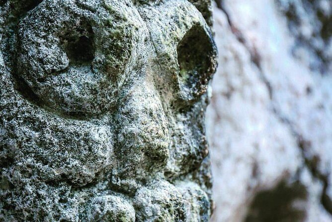 Full-Day Tour of Cayo Levantado and Los Haitises National Park - Who Should Consider This Tour?