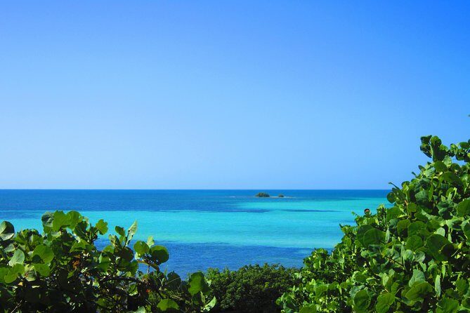 Full-Day Tour of Florida Keys Including Aquarium Encounters from Key West - Analyzing the Value