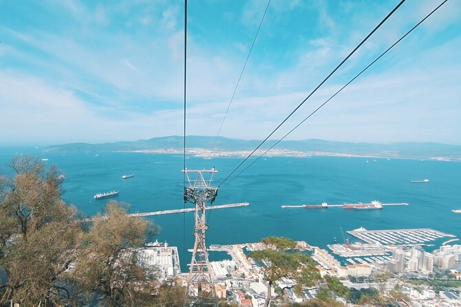 Full-Day Tour of Gibraltar From Seville - Traveler Experiences and Feedback