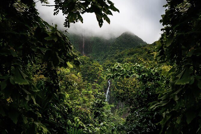 Full Day Tour of Guadeloupe - Practical Considerations