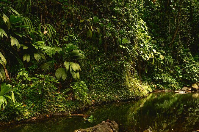 Full Day Tour of Guadeloupe - The Sum Up: Is It Worth Your Time and Money?