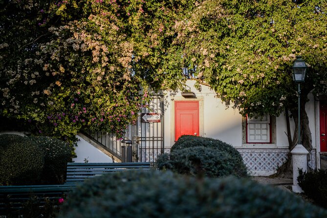 Full Day Tour of Lisbon in Private Eco Tuk Tuk - Exceptional Customer Reviews