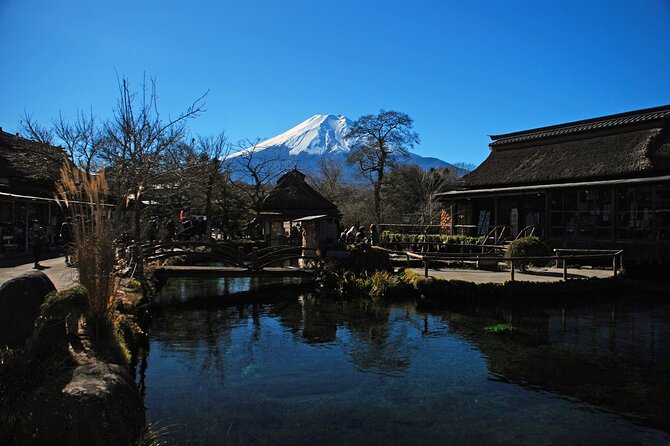 Full Day Tour of Mount Fuji and Hakone From Tokyo - Accessibility and Participation