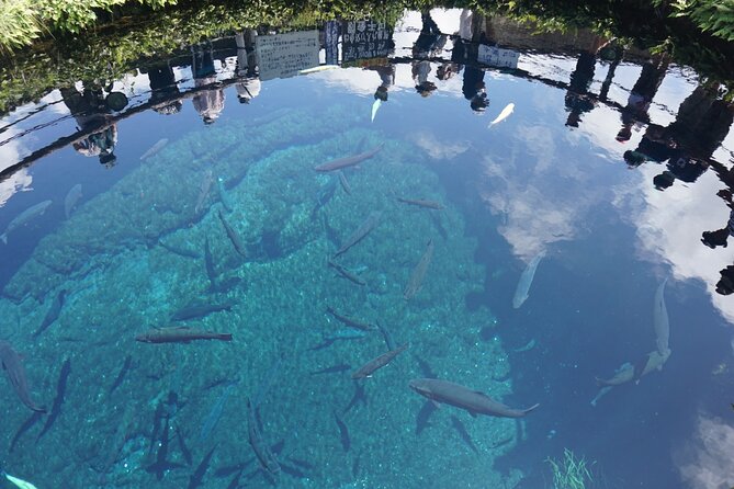 Full Day Tour of Mount Fuji and Hakone From Tokyo - Highlights of the Tour